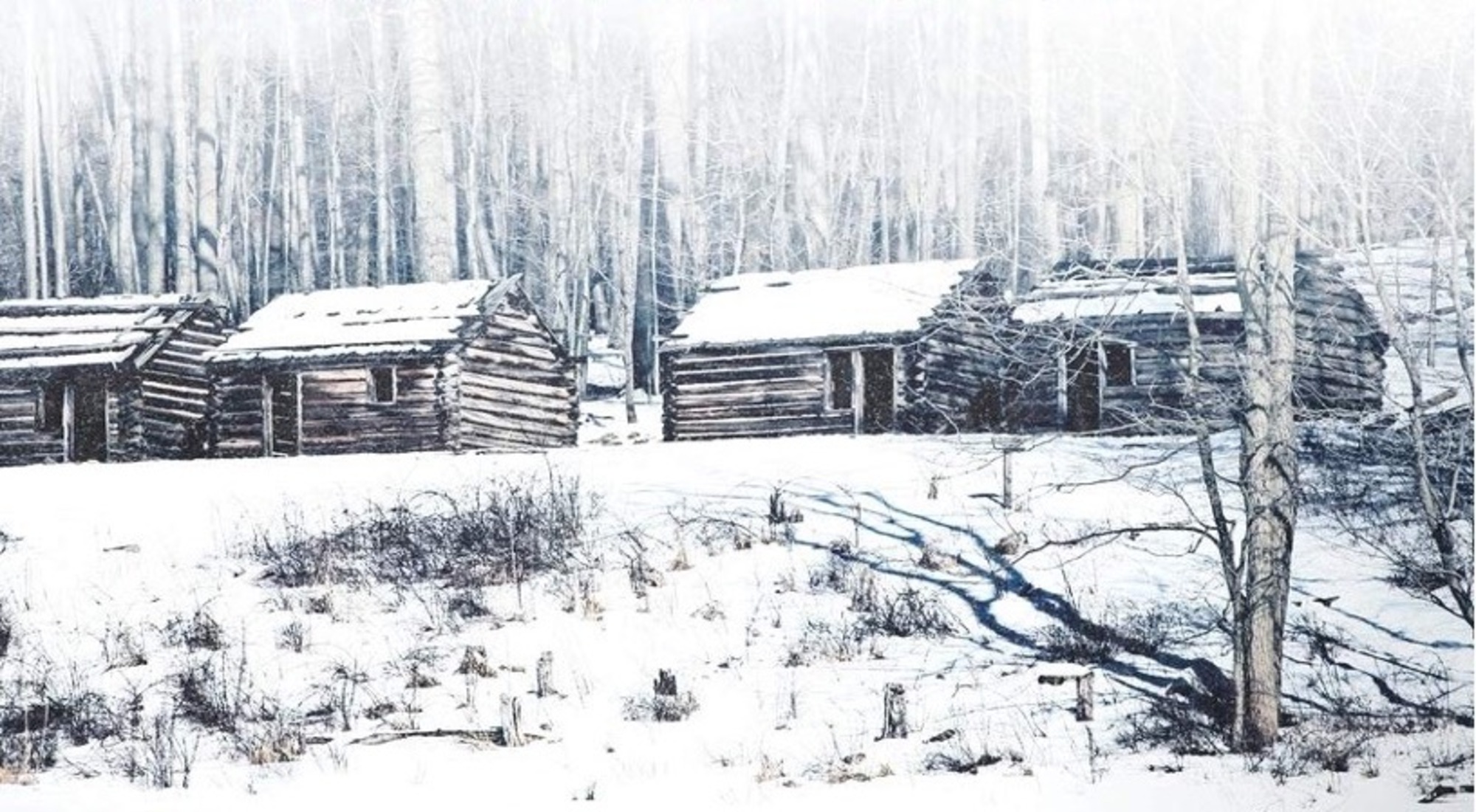 Surviving the Winters: Housing Washington's Army during the American ...